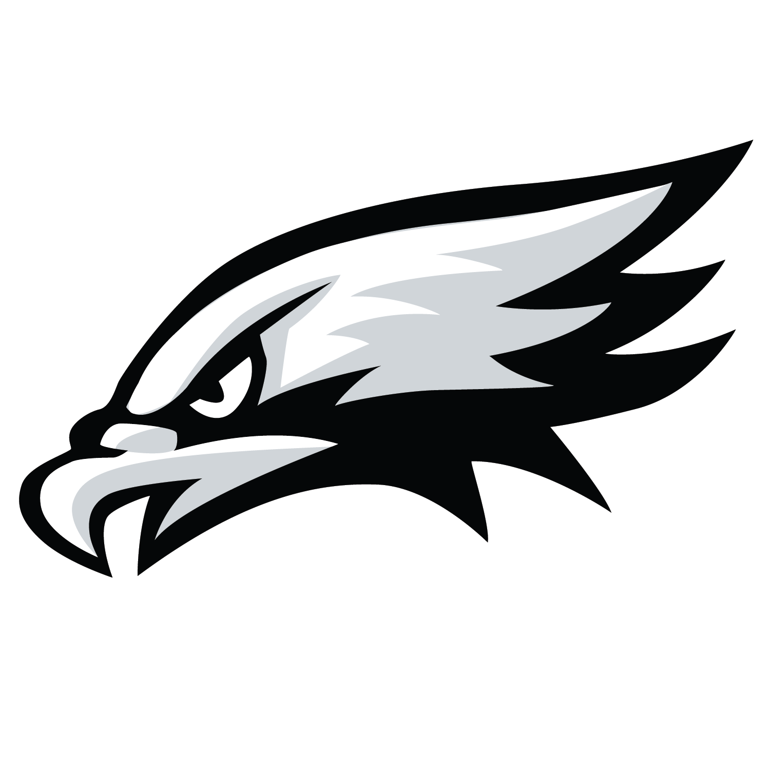 Black Hawk Regiment – SWG Apparel